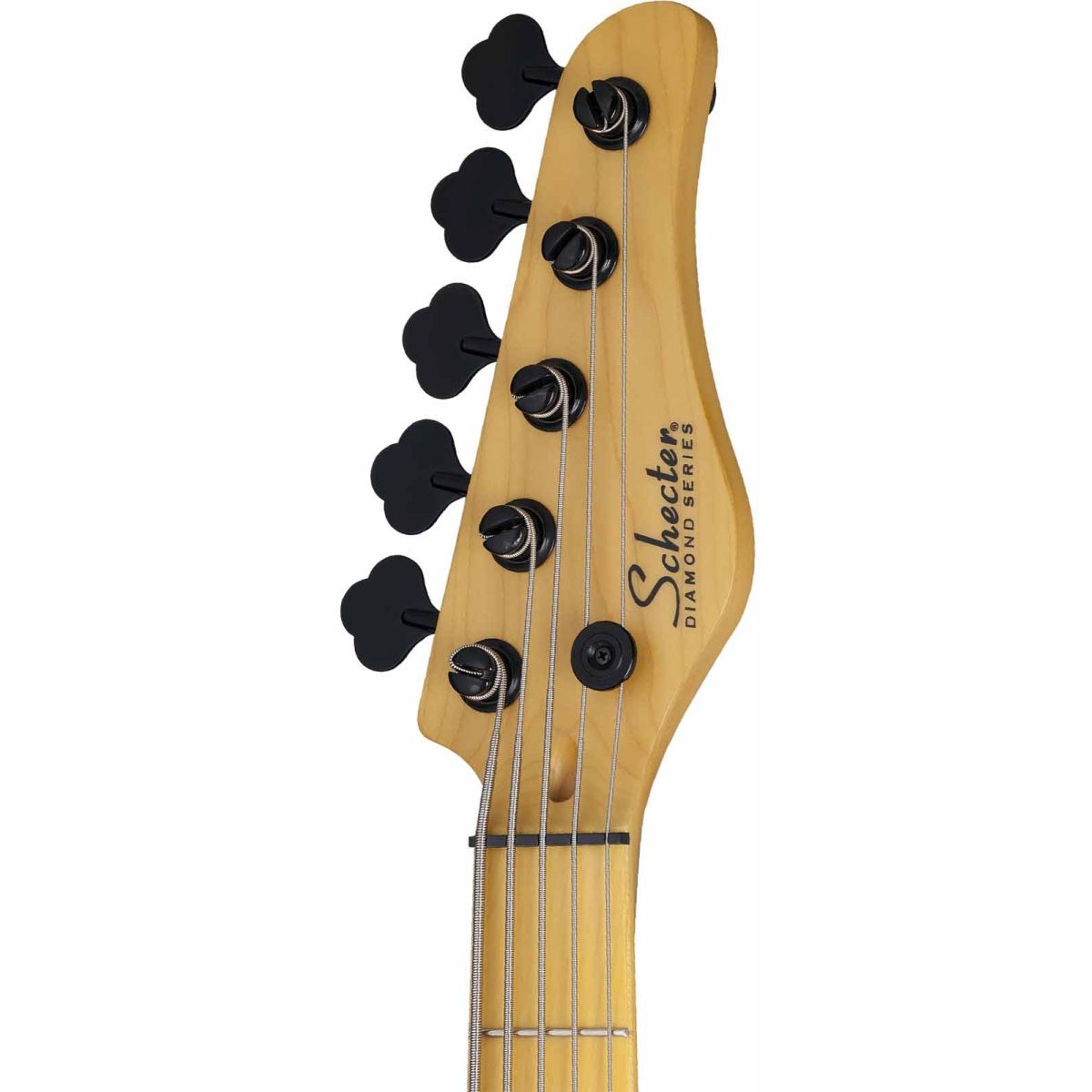 Schecter Model-T Session-5 - Mr. Músico®